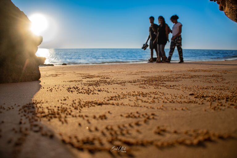Shuweihat Island Abu Dhabi – Things to Do, How to Reach & Travel Guide ...